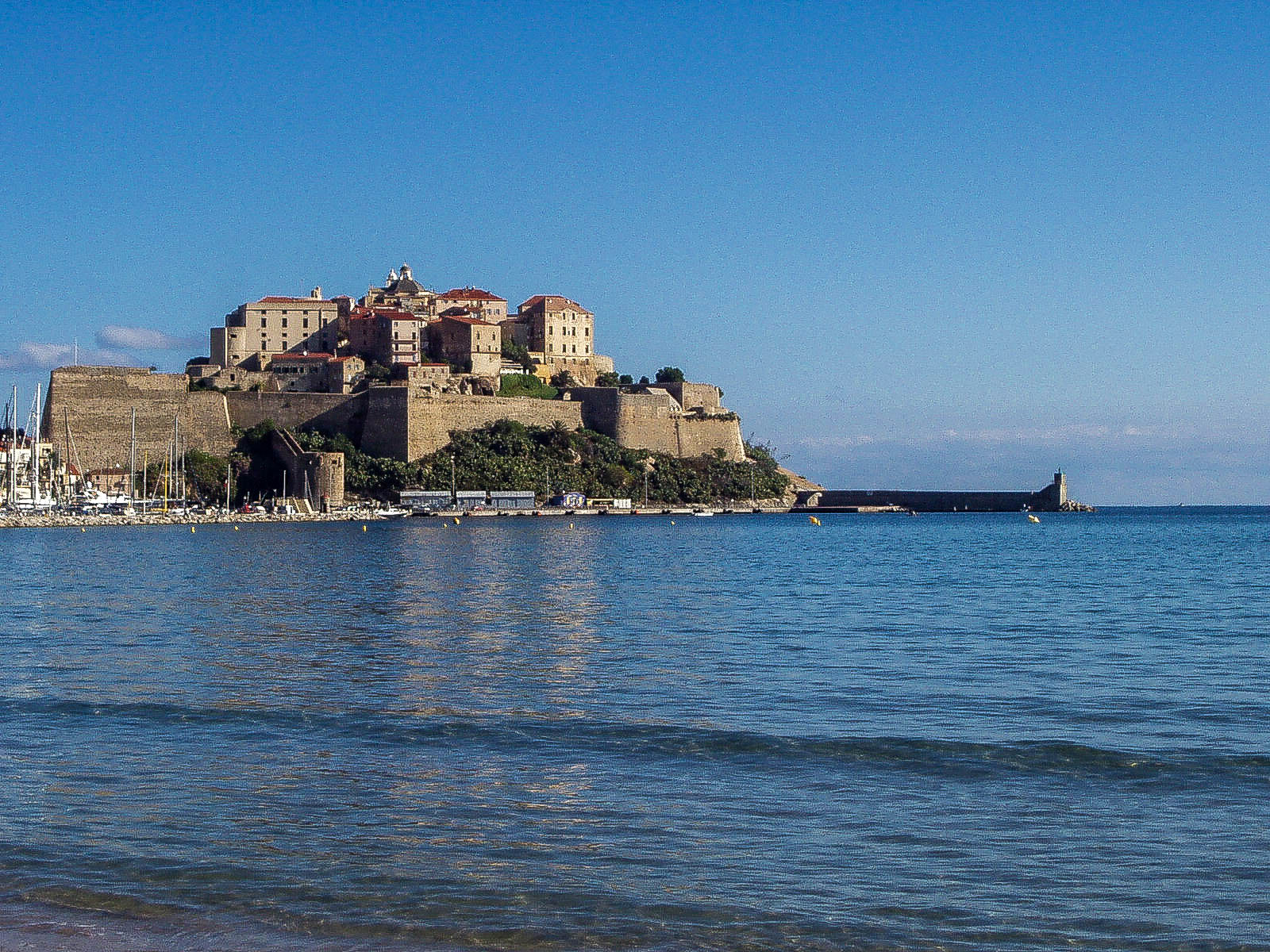 Calvi Zitadelle In Corsica France Image Free Stock Photo Public