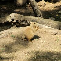 Last 100 Images | Good Free Photos - Free Stock Photos Public Domain ...