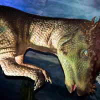 Prehistoric Animals Photos - Free Stock Photos and public domain CC0 Images