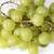 Green Grapes looking delicious image - Free stock photo - Public Domain ...