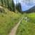 Narrow Path at Rocky Mountains National Park, Colorado image - Free ...