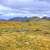 Overview of the Tundra Landscape at Rocky Mountains National Park ...