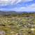 Overview of the Tundra Landscape at Rocky Mountains National Park ...