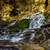 Dunning Spring Falls near Decorah, Iowa photo and information image ...