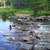 Children playing in the rapids at lake Itasca state park, Minnesota ...