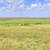 Plains Under the Sky at Panorama Point, Nebraska image - Free stock ...