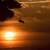 Aircraft flying over the sun during sunset over Charleston, South ...