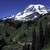 View of the peak at Mount Rainier National Park, Washington image ...