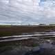 Marshlands under the sky landscapes image - Free stock photo - Public ...