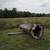 Fallen Log at Horicon Marsh image - Free stock photo - Public Domain ...