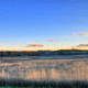 Fields in Madison, Wisconsin image - Free stock photo - Public Domain ...