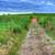Landscape of the Natural Area in Madison, Wisconsin image - Free stock ...
