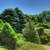 Trees and landscape in Madison, Wisconsin image - Free stock photo ...