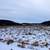 Landscape of the Snowy Field in Wisconsin image - Free stock photo ...