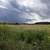Landscape with a line of trees in the distance at Goose Lake State ...
